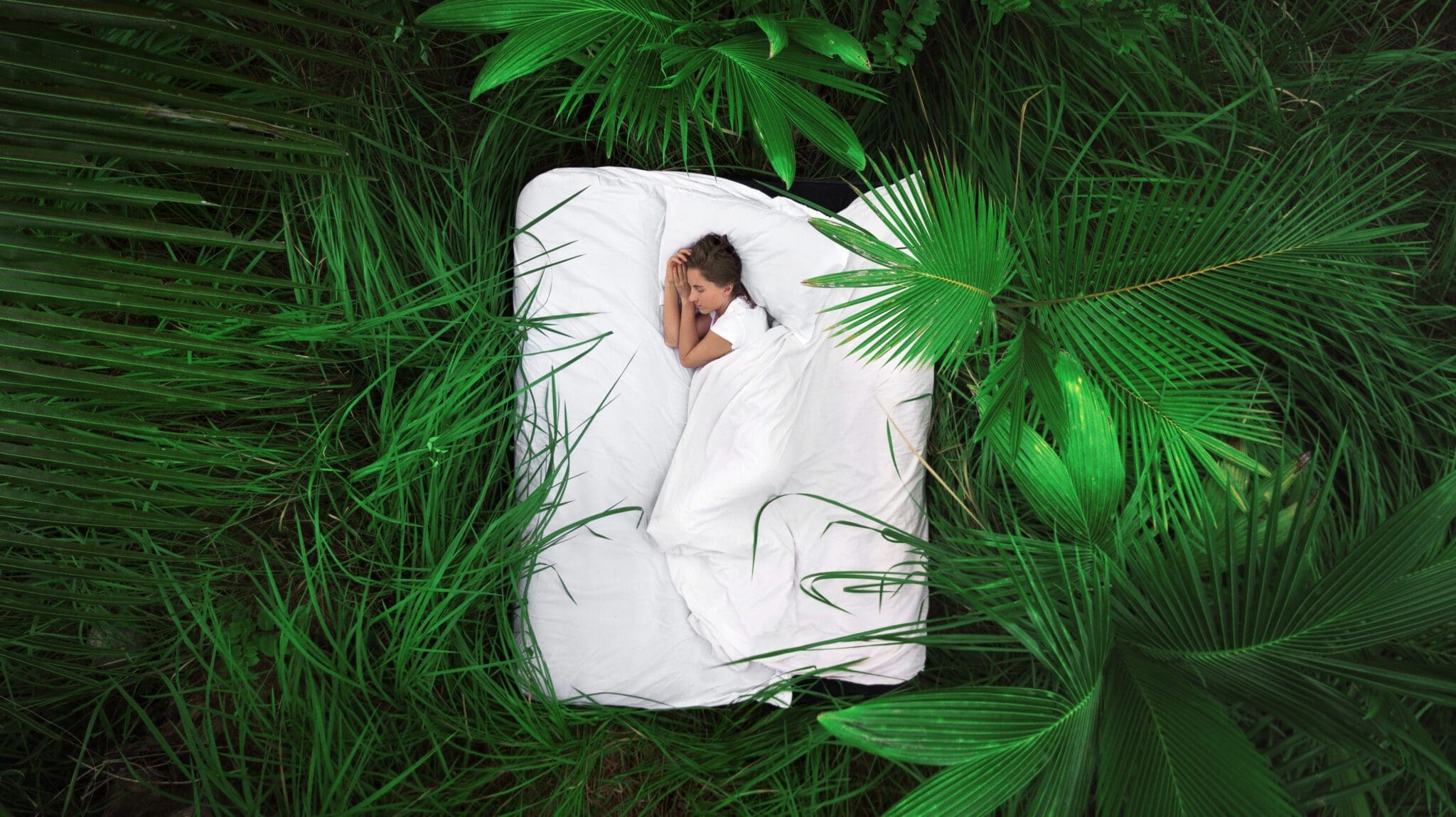 Sleep, Business Productivity and Health Benefits - Latin Business Today