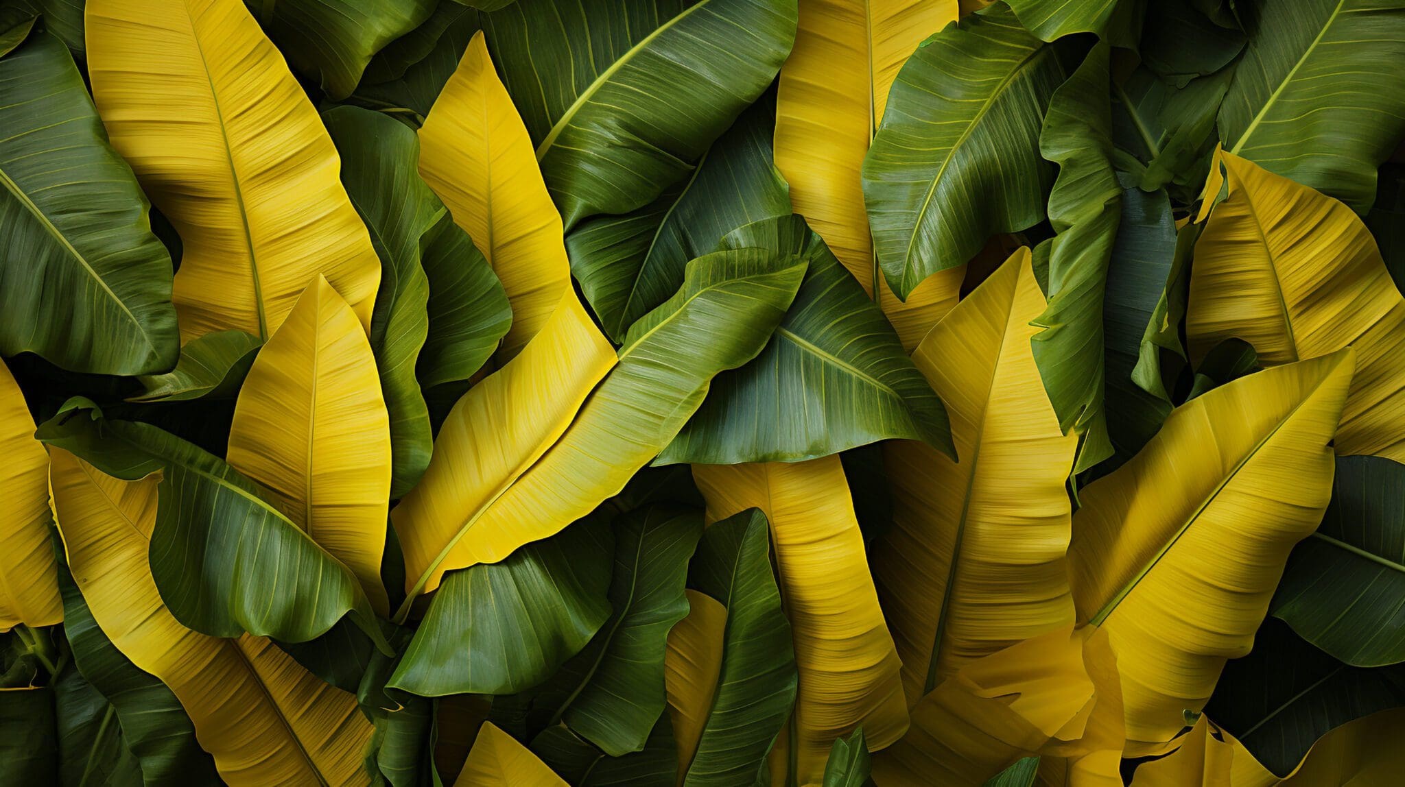 Have You Ever Tried Pickled Green Banana? [Recipe] - Latin Business Today