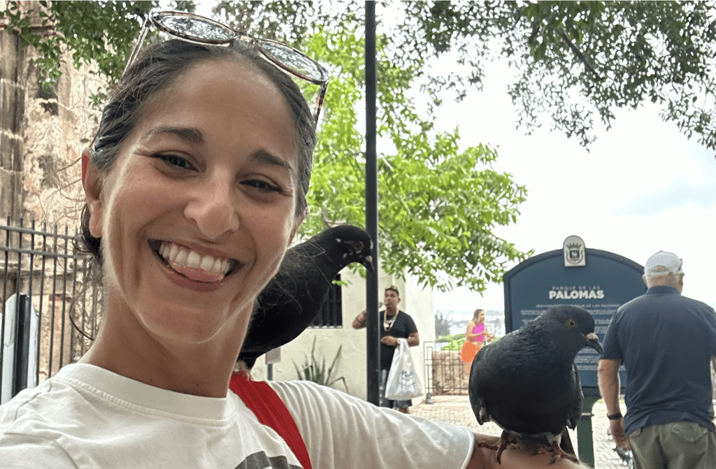 Traveling to Puerto Rico? Pigeon Park in Old San Juan Is a Must [Video ...
